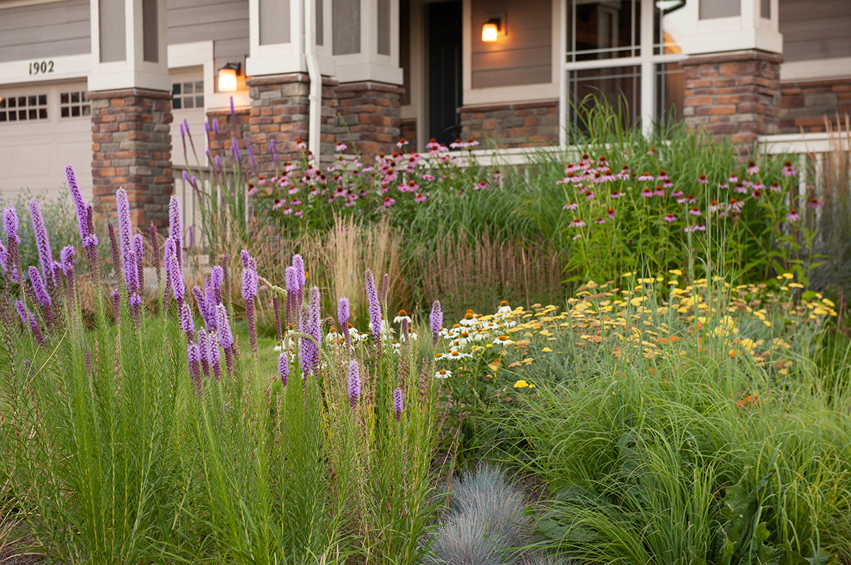 Photo Gallery - Meadow Pro